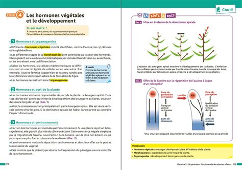 Révisions brevet et bac