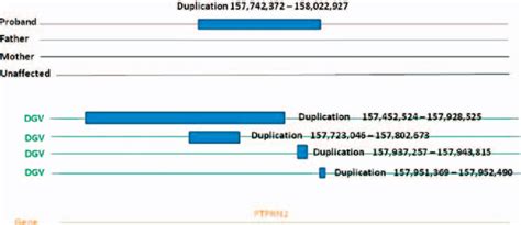 Schematic Diagram Of Chromosome 7 Duplication Area This Figure