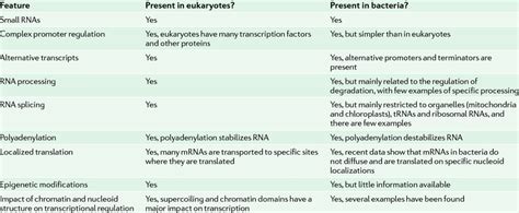 Bacterial Transcriptome Features That Recall Eukaryotic Complexity