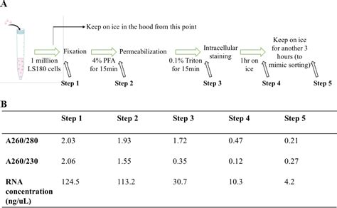 Figure 1 1 From Goblet Cell Differentiation In Human Colorectal Cancer