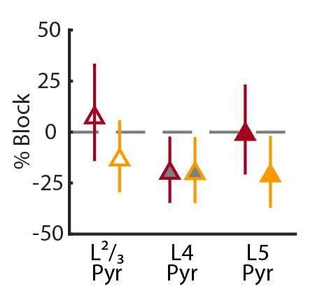 Suppression Of Post Synaptic Responses By Isoflurane Is Cell
