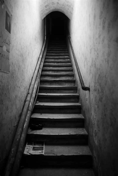 Alex Lobo Photographer All About Photo