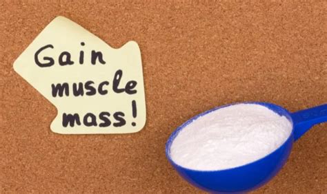 Glutamine Benefits For Gaining Muscle And Reducing Recovery Time
