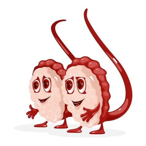 100000 Testis Vector Images Depositphotos