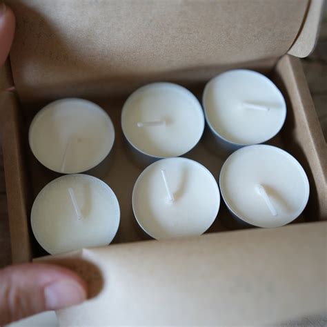 6 Large Soy Wax Tealights Fig And Forest Embers And Roots