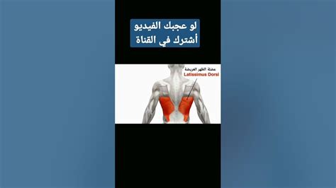 تمارين الظهر عضله الظهر العريضه عضله الظهر العلويه الجزء 4 شجعنا