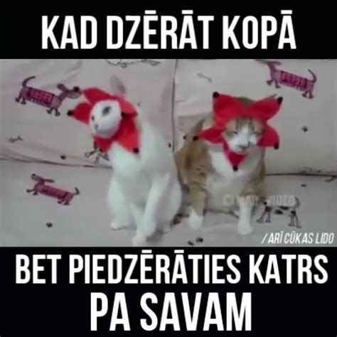 Arī Cūkas Lidofacebook