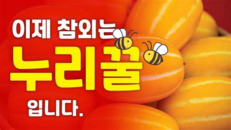 더기반 참외품종 걱정하지말고 누리꿀로 누리세요 Youtube