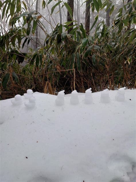 南沢山・横川山（湯舟沢山）一年ぶりの南沢山 クイーンちゃんさんの恵那山・大判山・神坂山の活動データ Yamap ヤマップ
