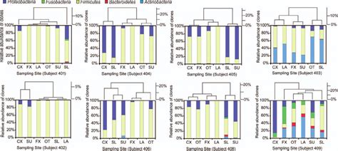Clustering Of Vaginal Samples Within Individuals Based On Microbial Download Scientific Diagram