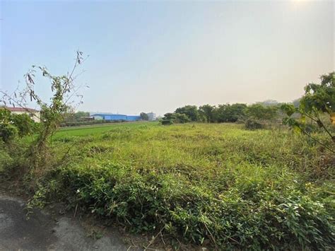 其他最夯區段徵收★善化胡厝寮d區增值農地★住商東東台南市善化區胡厝寮段 樂屋網 土地買賣