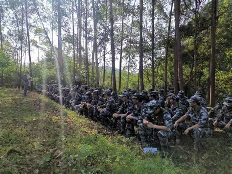 广西研学旅行基地南宁研学实践南宁学生军训团建桂林柳州玉林北海钦州防城港等城市夏令营党建拓展训练广西蓝盔教育投资有限公司