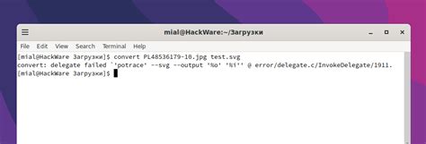 Error Convert Delegate Failed Potrace Svg Output O I