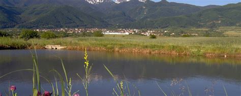 Съобщение КИТИ Кюстендил Специализирани болници за рехабилитация