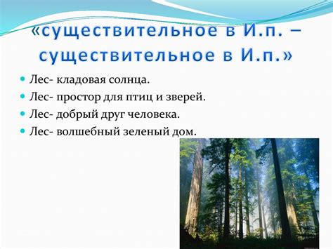 Лесная книга - презентация онлайн