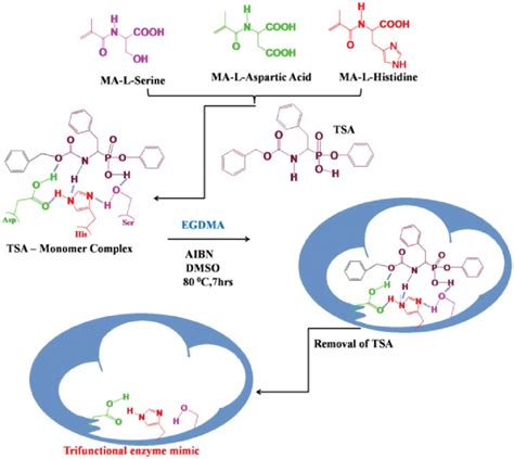 Synthesis Of Trifunctional Mimic Of Chymotrypsin Download Scientific Diagram