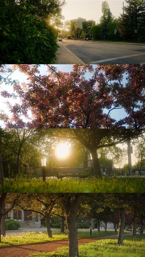 Color Grading Inspiration Cinema Photography Cinematography Movie