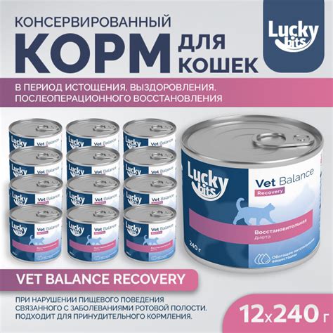 Влажный корм для кошек Lucky bits Консервы Recovery в период ...