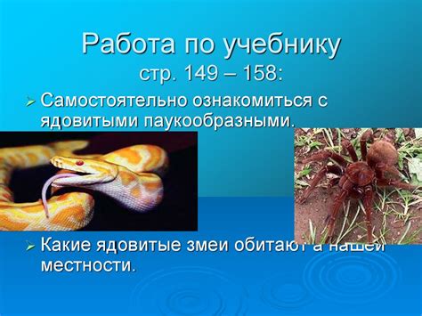 Укусы животных презентация онлайн