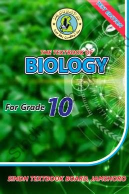 10th Class Computer Science EM Sindh Textbook PDF Taleem360
