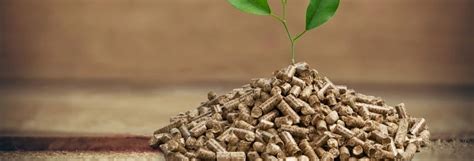 Biomasse renouvelable l éco alternative aux carburants fossiles