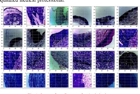 Figure 3 From Analysis Of Deep Learning Based Optimization Techniques