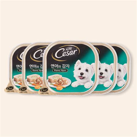 시저 연어와 감자 캔 100g 5개 묶음 강아지대통령