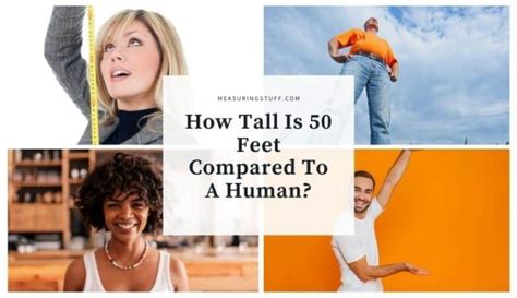 How Tall Is Feet Compared To A Human Measuring Stuff