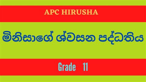 මිනිසාගේ ශ්වසන පද්ධතිය Grade 11 Youtube