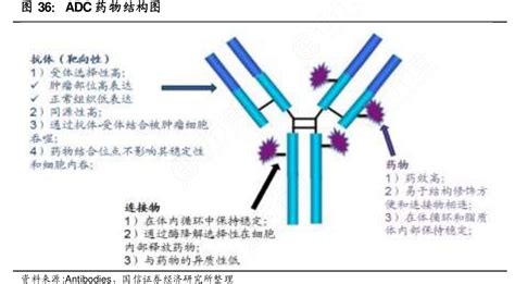 图36：adc药物结构图行行查行业研究数据库