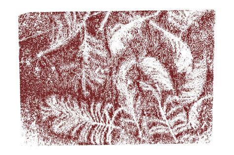 Premium Vector Plant Fossil Stone Print Black Carboned Texture
