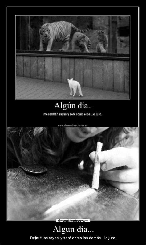 Imágenes Y Carteles De Rayas Pag 7 Desmotivaciones