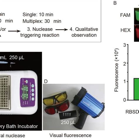 Minimal Time And Instrument Requirements For Field Deployable Multiplex Download Scientific