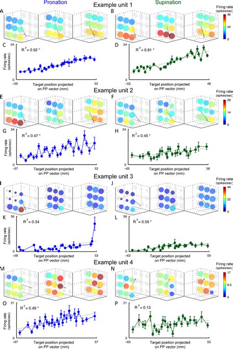 Examples Of Neuronal Response Functions Colored Plots Show Mean Firing