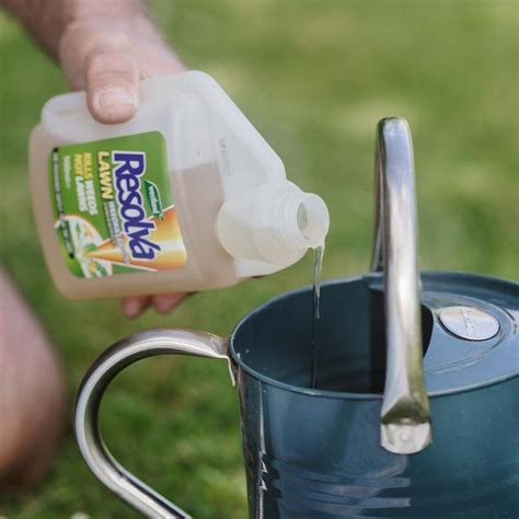 Lawn Weed Killer Resolva At Eva Mowery Blog