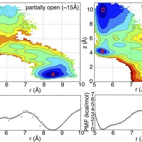 2d Pmf To Assess The Conformational Preferences Of The Selectivity Download Scientific Diagram
