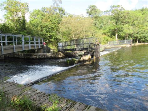 River Cocker Co Curate