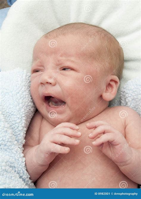 Newborn Baby Crying Stock Image Image Of Maternity Pink