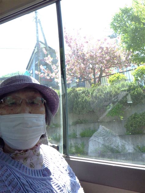 五天山園 札幌市西区の社会福祉法人西平和会 【通所】春のお花見バスツアー