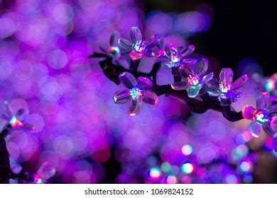 277 Neon sakura Stock Photos, Images & Photography | Shutterstock