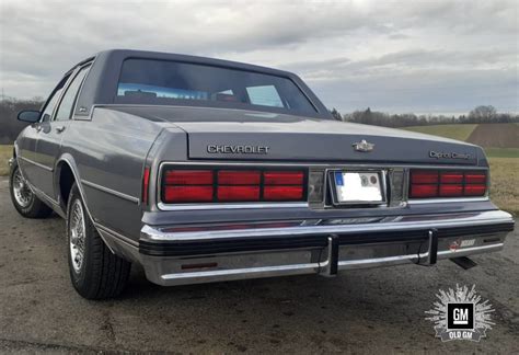 Reproduction Caprice Rear Bumper Impact Strip Old Gm