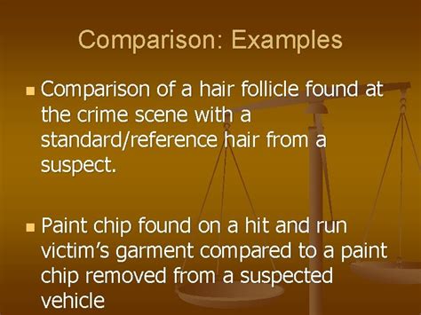 Physical Evidence Chapter 3 Physical Evidence Examples Identification