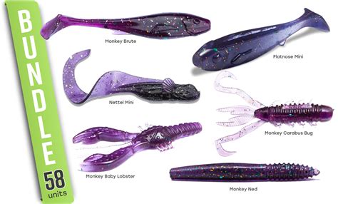 June Bug Bundle Our Favorites Kanalgratis