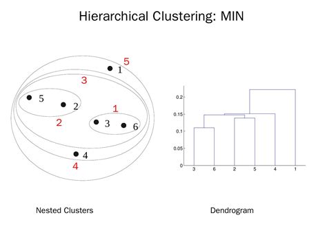 Data Mining Cluster Analysis Basics