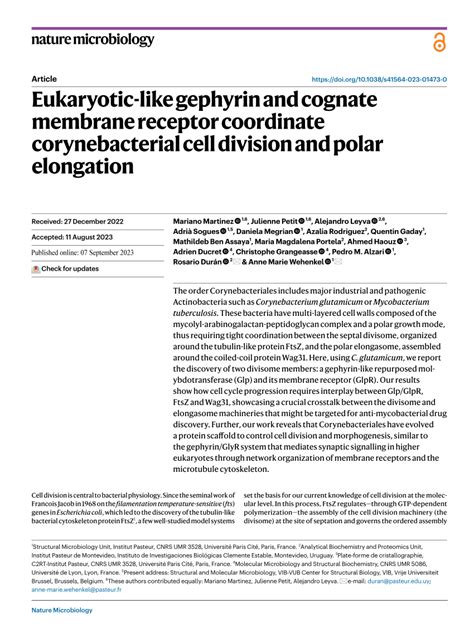 Pdf Eukaryotic Like Gephyrin And Cognate Membrane Receptor Coordinate