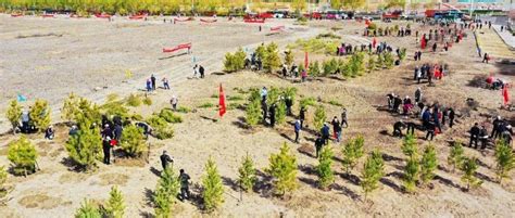 张掖市开展“全民参与植绿·共建森林城市”春季义务植树活动绿化生态乡村