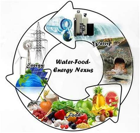 Call For Abstracts Circular Economy Addressing The Novel Concept Of Water Food Energy Nexus