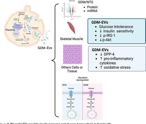 Figure 1 From Extracellular Vesicle Mediated Targeting Strategies For