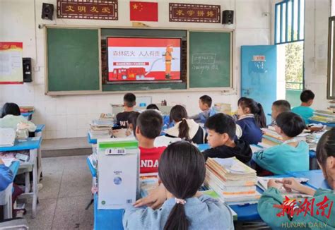 衡南县三塘联合学校：防森林火灾 护绿水青山 教育资讯 新湖南