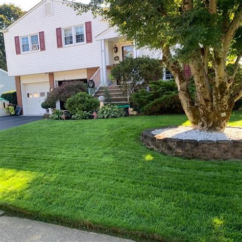 Grass Seed And Fertilizer Lawn Starter Bundle Jonathan Green